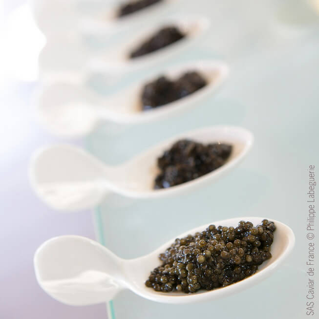 CAVIAR DE fRANCE - Le Blog by Le Delas Rungis