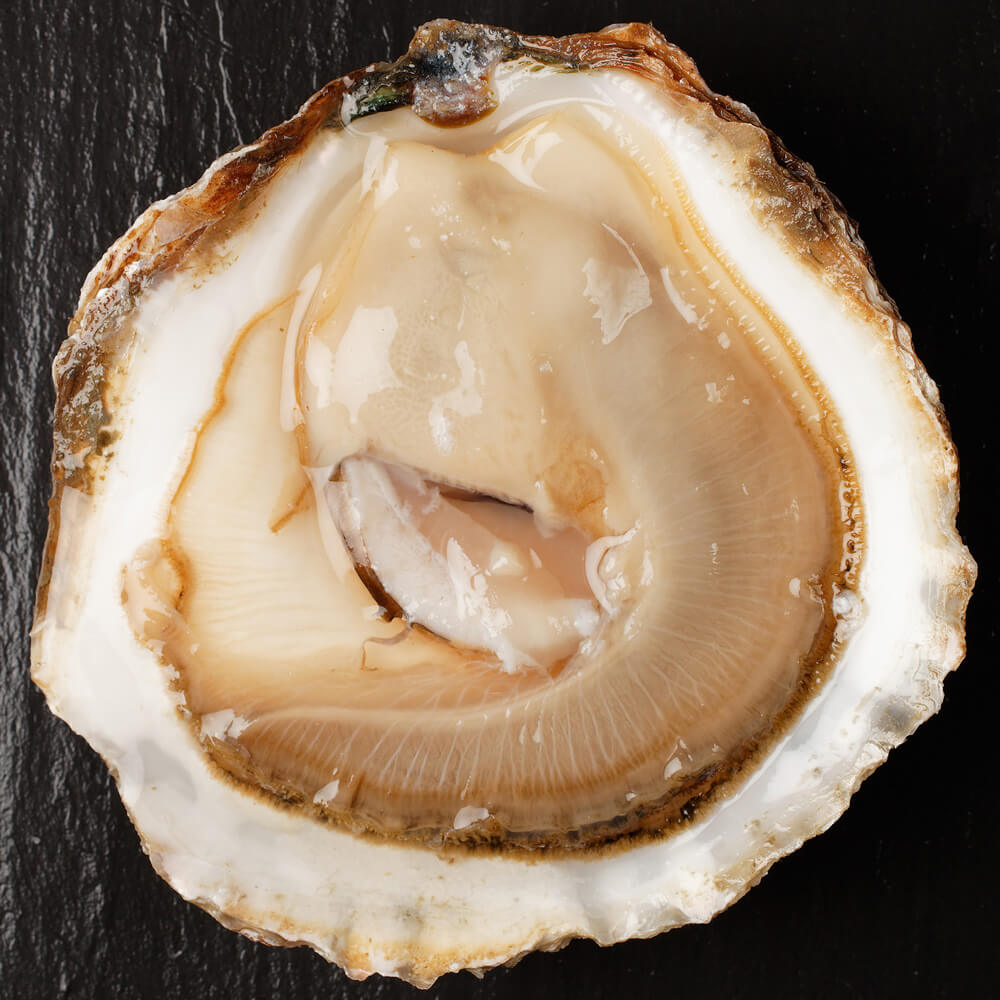 Huître-Belon-Saint-Kerber - Le Blog by Le Delas Rungis